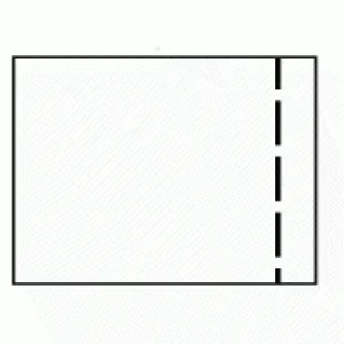 "Clear Packing Envelopes" 9.5" x 12" (B/L) - AMS Printing