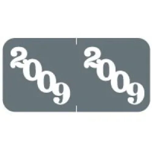 90500 Jeter® Year tab labels - AMS Printing