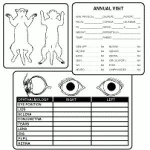 Examination Record Labels - AMS Printing