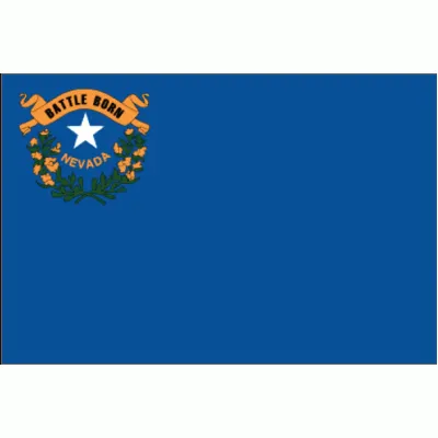 Nevada Flag with Pole Hem & Gold Fringes - AMS Printing