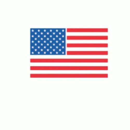 "AMERICAN Flag" Label - AMS Printing