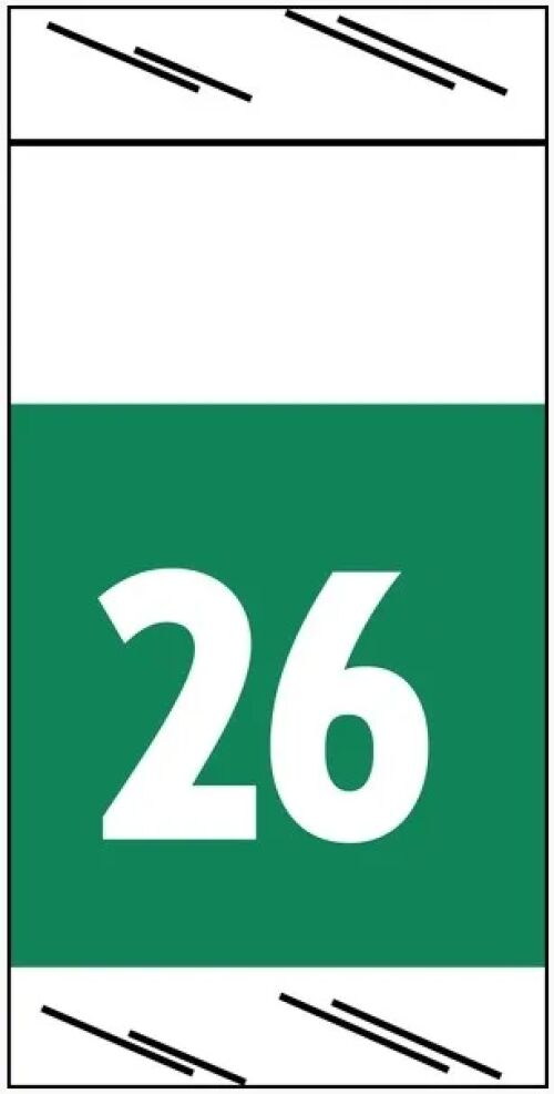 Tabbies, 71700 Genuine Col'R'tab® Year tab labels - AMS Printing