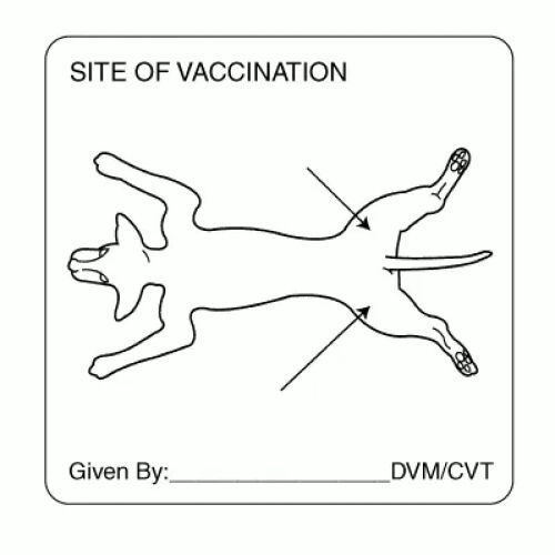 Vaccination Record Labels - AMS Printing